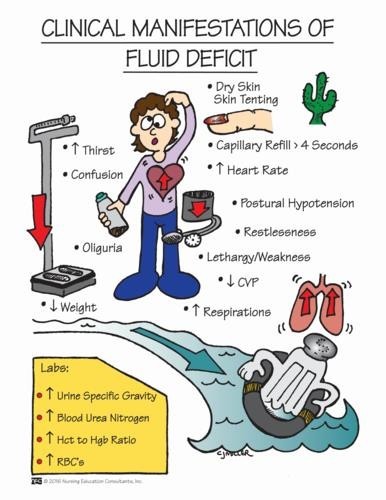 Review LPN ATI fundamental exam