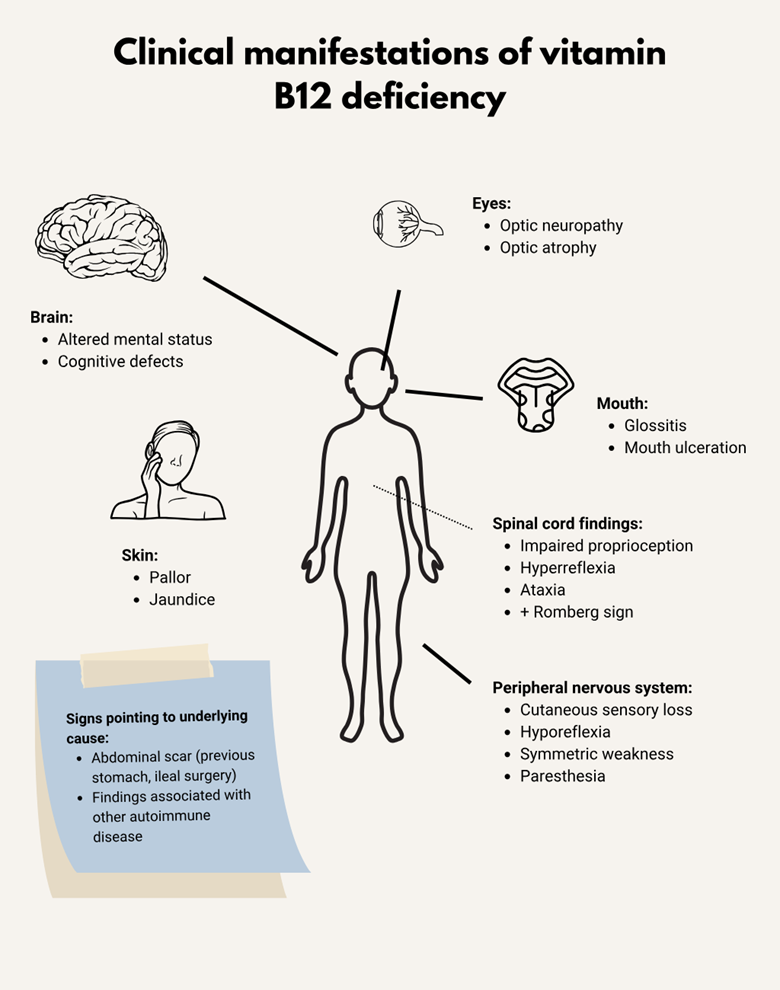 Review ATI Med Surg Exam 8