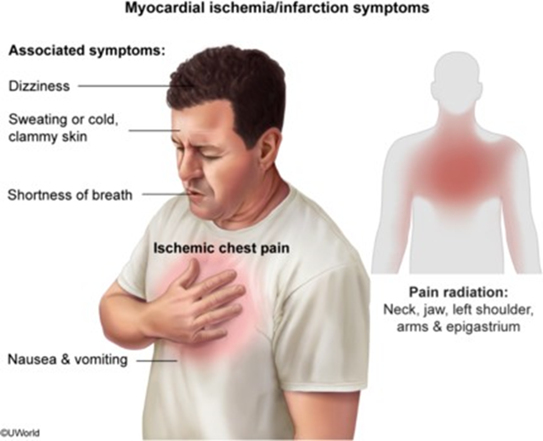 Review Hesi Med Surg Exam 1